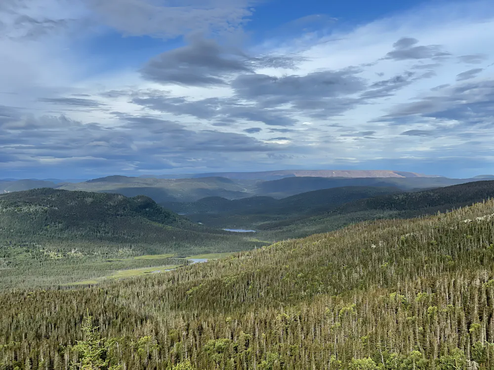 Corner Brook Cruise Port Guide | Things to do in Corner Brook - Canada