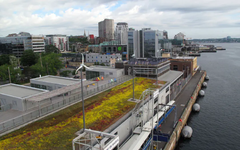 Halifax Cruise Port Guide | Things to do in Halifax - Canada